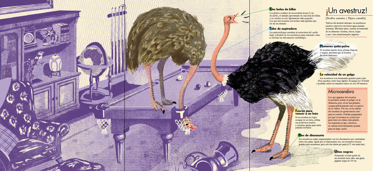 Enigma animal – Ekaré Sur