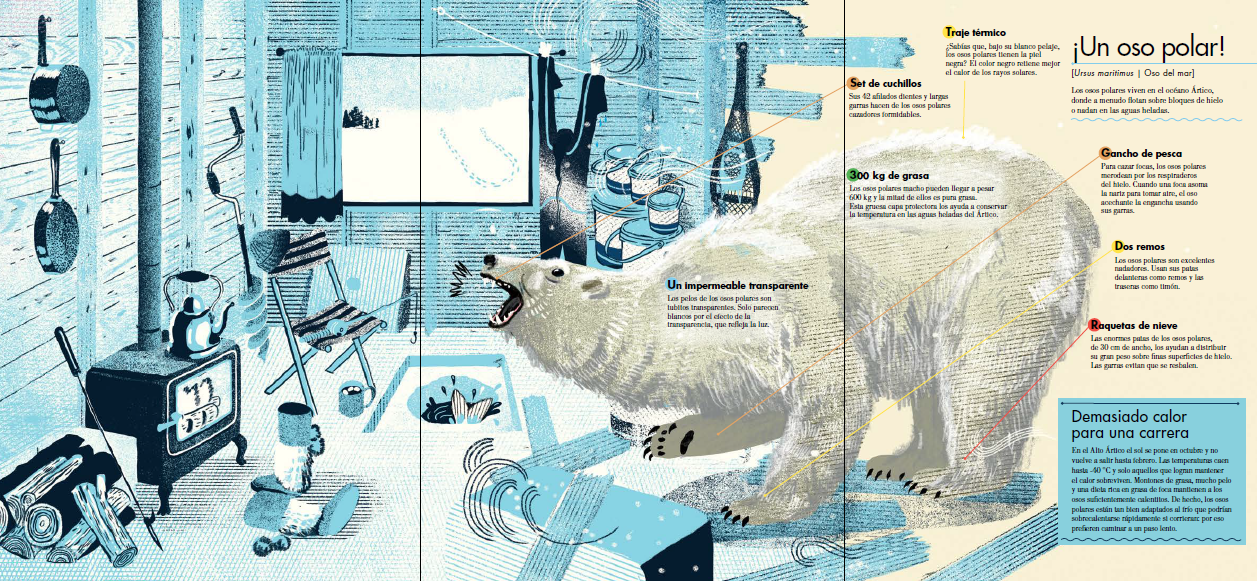 Enigma animal – Ekaré Sur